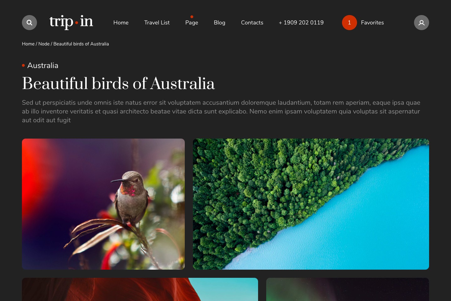 Tripin - Ultimate Travel & Tourism Drupal Theme